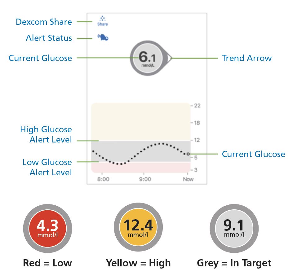 CGM Guide — Learn CGM basics | GNL