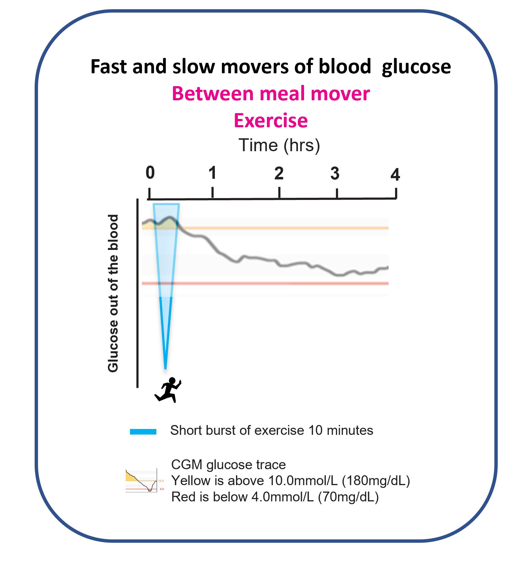 Dynamic Glucose Management CGM Type 1 Diabetes Explained