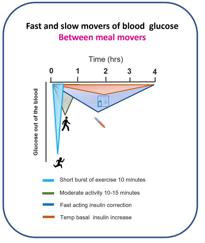 Fast and Slow Movers of Glucose: What to Know