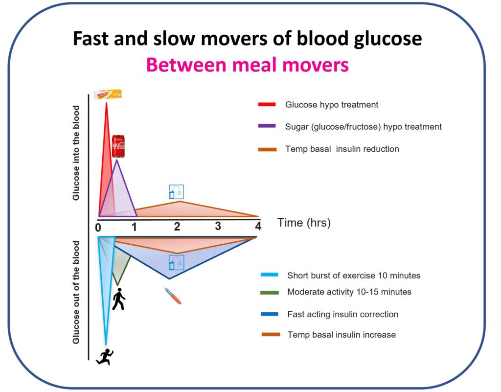 Fast Slow Movers ot T1D Glucose | GNL