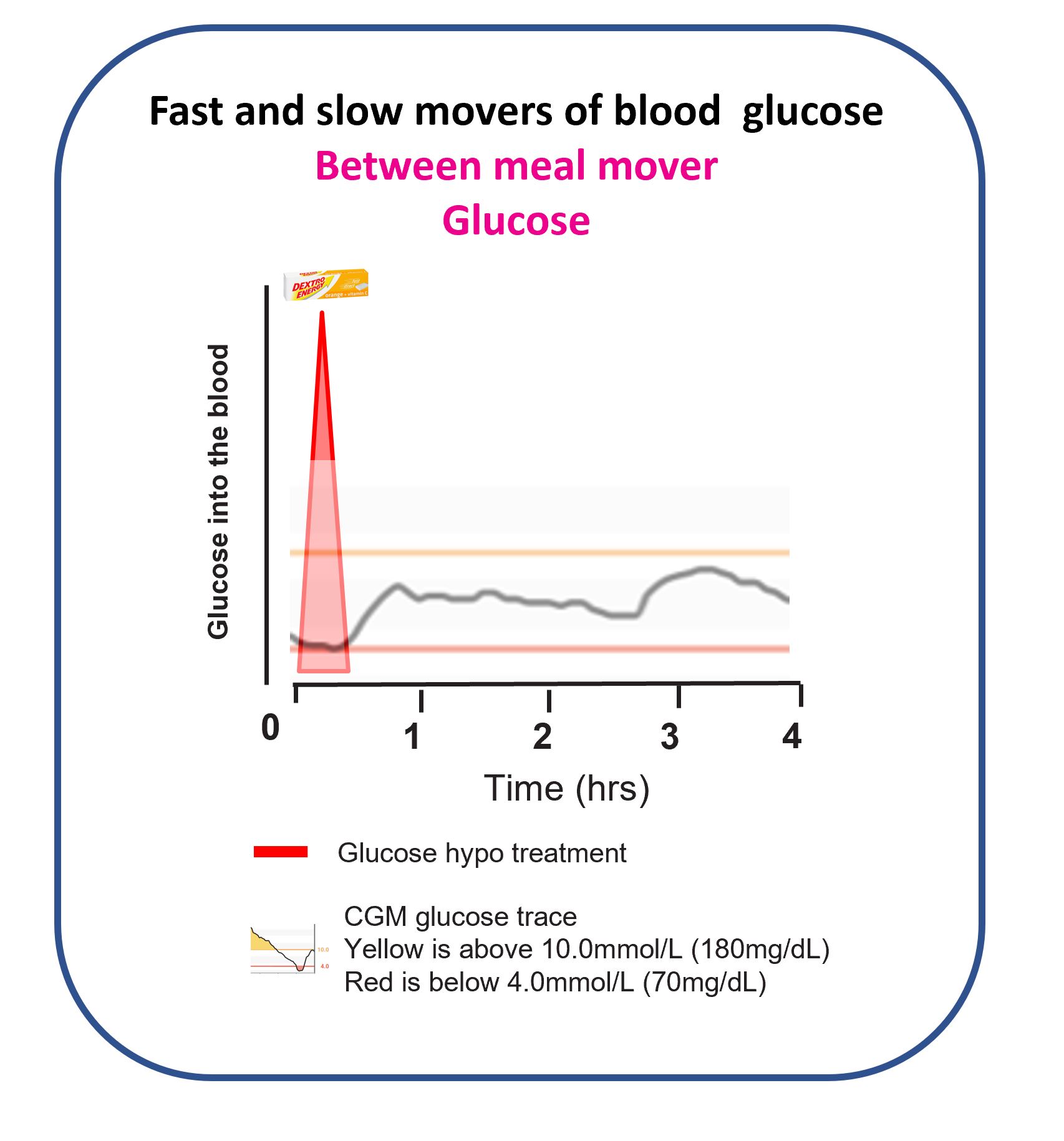 Dynamic Glucose Management CGM Type 1 Diabetes Explained