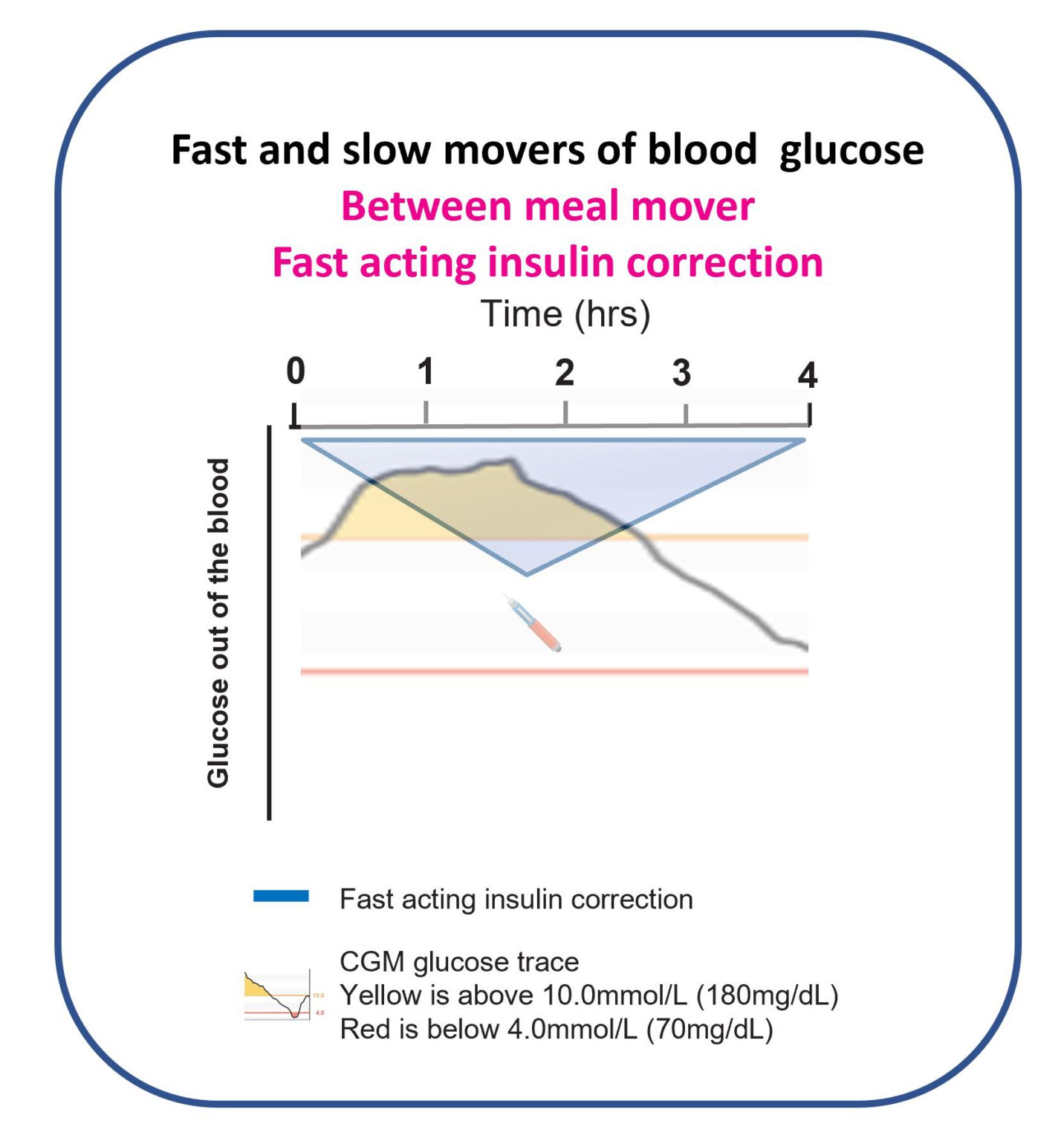 Correction Insulin T1D GNL Correction Insulin T1D GNL