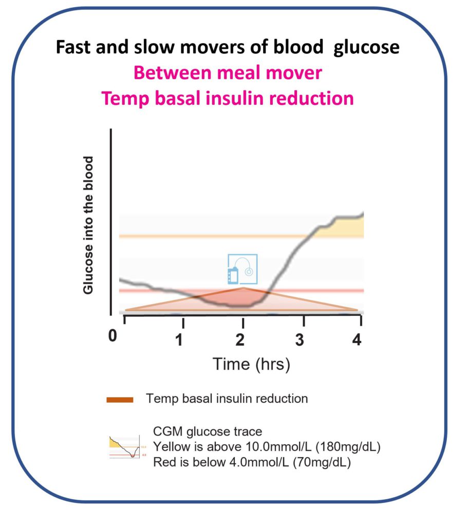 Basal Insulin – TEST DATABASE CONNECTION 12345